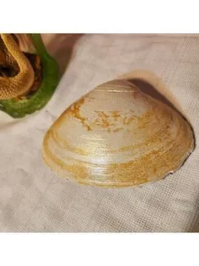 Accents | Decoupageclamshell | Poshmark